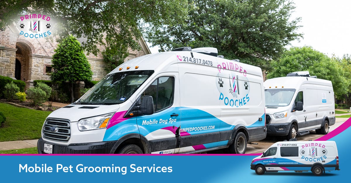 Primped Pooches Mobile Dog Spa Blog – Primped Pooches Mobile Dog Spa